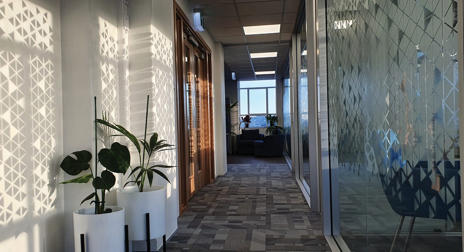 Custom Sign Company NZ | SignX Dunedin & Nationwide Experts